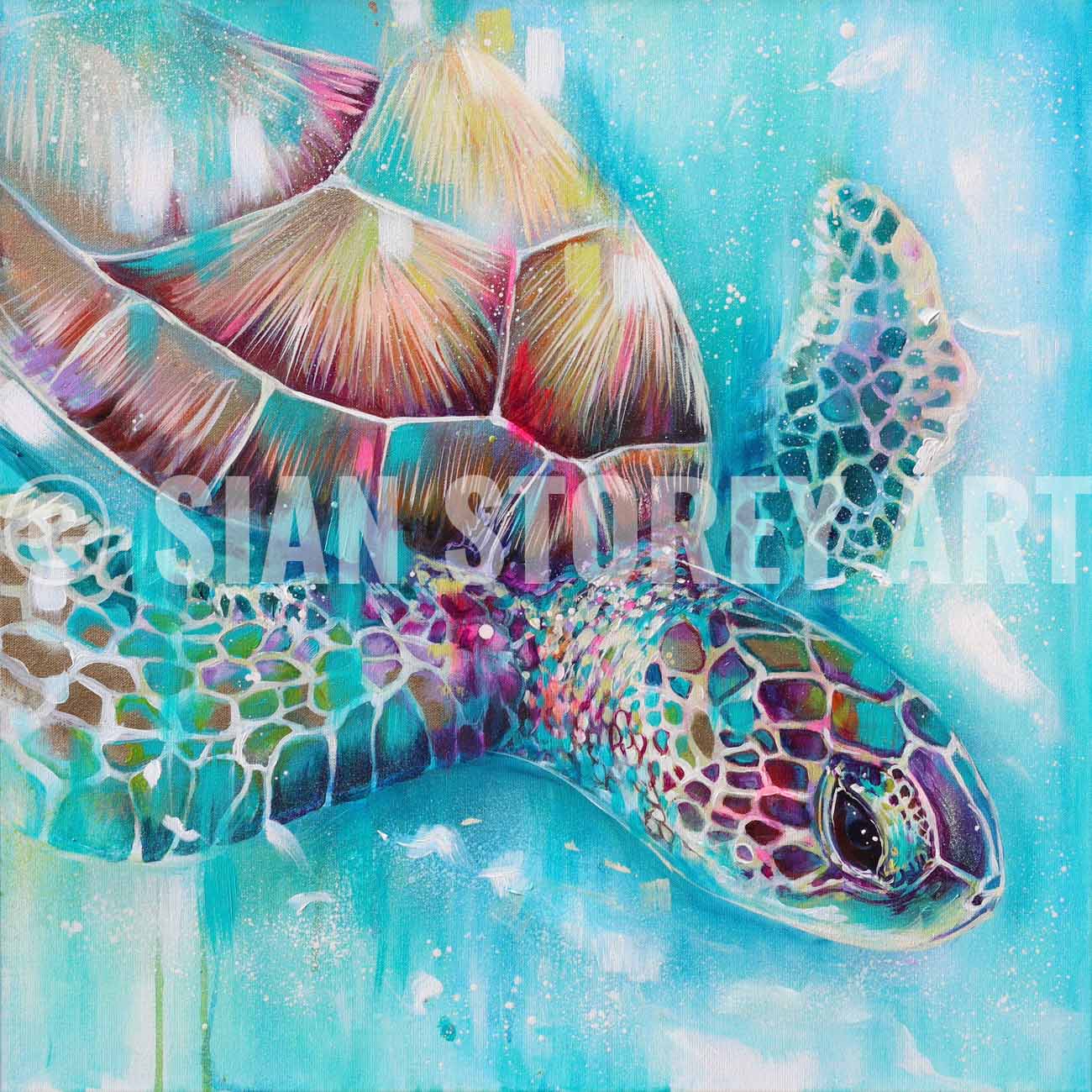 Original Paintings – Sian Storey Art