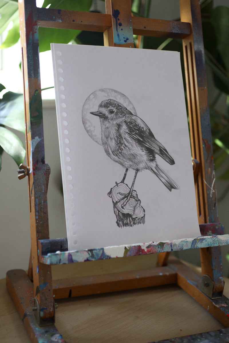 Robin sketch #2 – Sian Storey Art